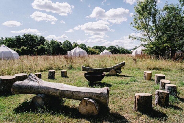 42 Acres Tour (Land & Food) - Small Festivals & Retreats in Europe